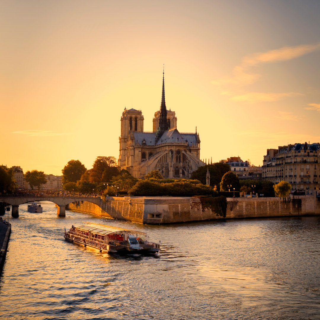 The Essence of Paris: Crafting the Dream Perfume, Exalté – Aura Argan Inc
